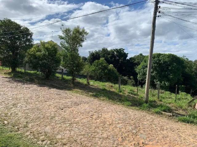Terreno / Lote para Venda em Viamão/RS Tarumã
