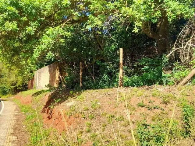 Terreno / Lote para Venda em Viamão/RS Tarumã