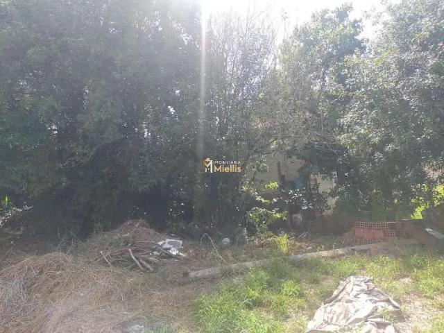 Terreno / Lote para Venda em Viamão/RS Tarumã