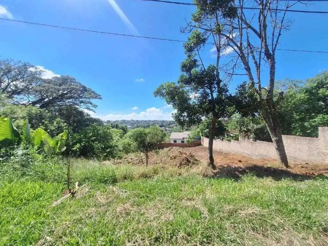 Terreno / Lote para Venda em Viamão/RS Tarumã