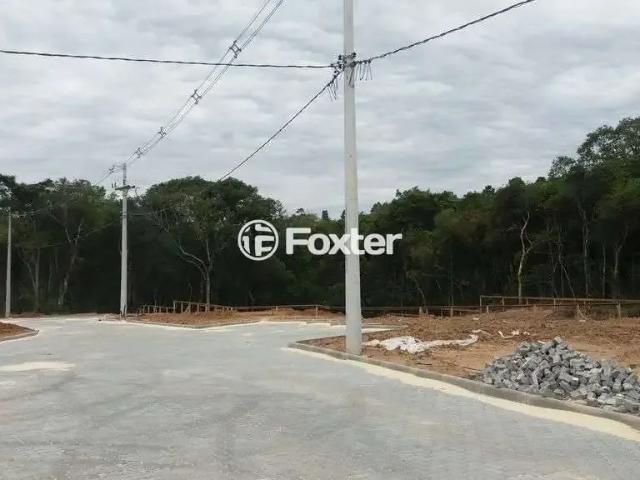 Terreno / Lote para Venda em Viamão/RS Viamópolis