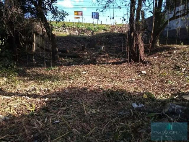 Terreno / Lote para Venda em Viamão/RS Viamópolis
