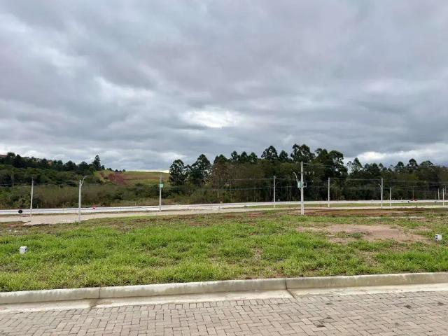 Terreno / Lote para Venda em Viamão/RS Vila Augusta