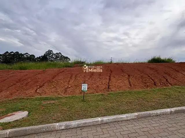 Terreno / Lote para Venda em Viamão/RS Vila Augusta