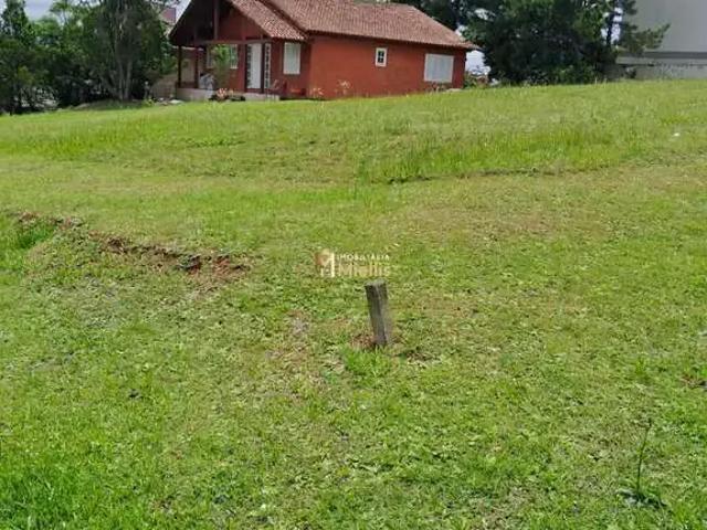 Terreno / Lote para Venda em Viamão/RS Vila Elsa
