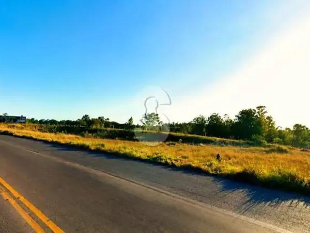 Terreno / Lote para Venda em Viamão/RS Vila Elsa