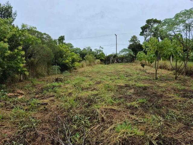 Terreno / Lote para Venda em Viamão/RS Águas Claras