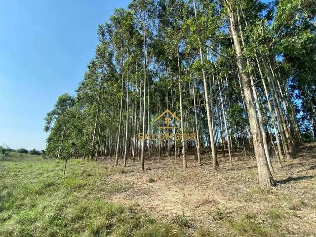 Terreno / Lote para Venda em Viamão/RS Águas Claras