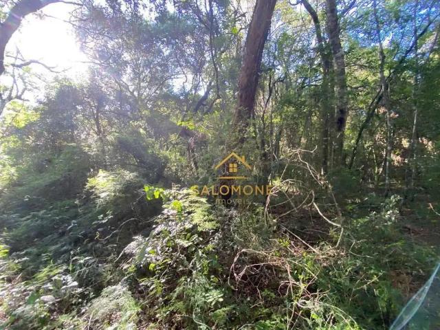 Terreno / Lote para Venda em Viamão/RS Águas Claras