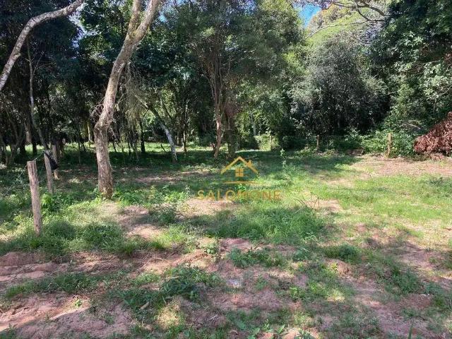 Terreno / Lote para Venda em Viamão/RS Águas Claras