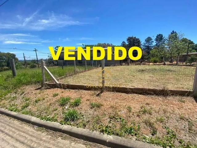 Terreno / Lote para Venda em Viamão/RS Águas Claras