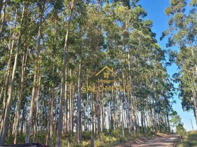 Terreno / Lote para Venda em Viamão/RS Águas Claras