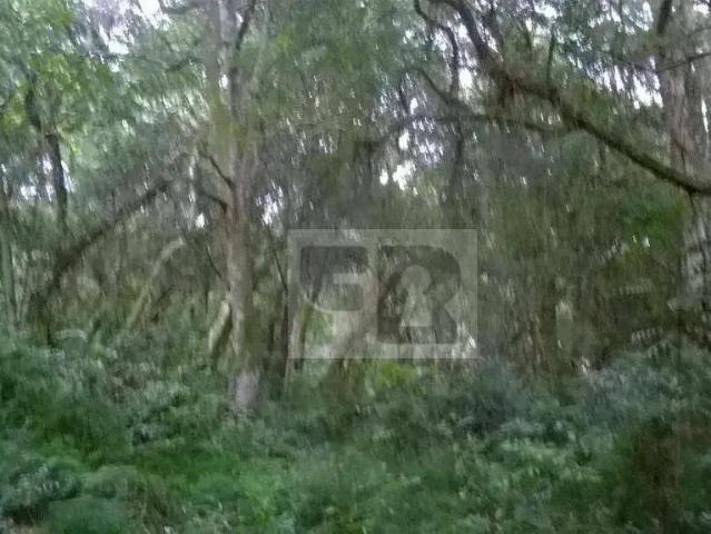 Terreno / Lote para Venda em Viamão/RS Águas Claras