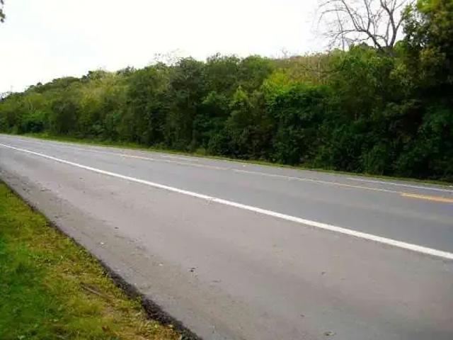 Terreno / Lote para Venda em Viamão/RS Centro