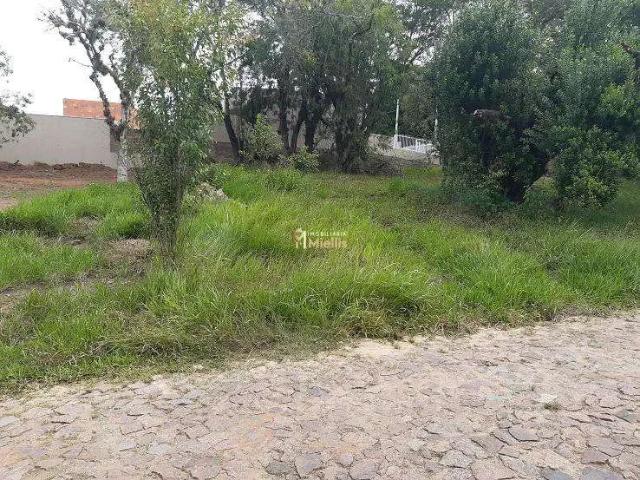 Terreno / Lote para Venda em Viamão/RS Centro