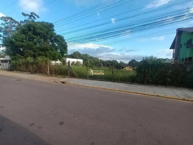 Terreno / Lote para Venda em Viamão/RS Centro
