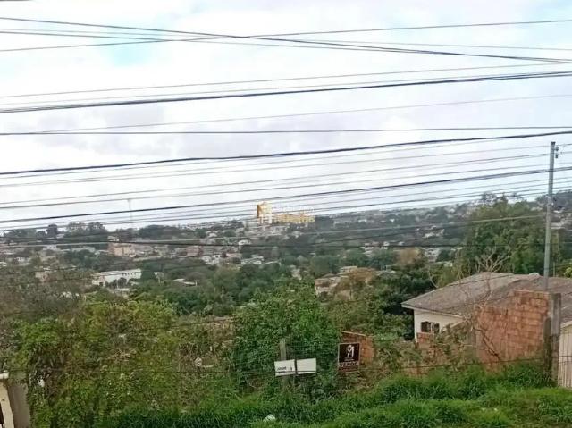 Terreno / Lote para Venda em Viamão/RS Cecília