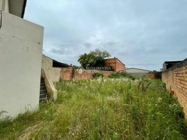 Terreno / Lote para Venda em Viamão/RS Cecília