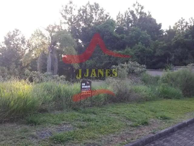 Terreno / Lote para Venda em Viamão/RS Condomínio Buena Vista