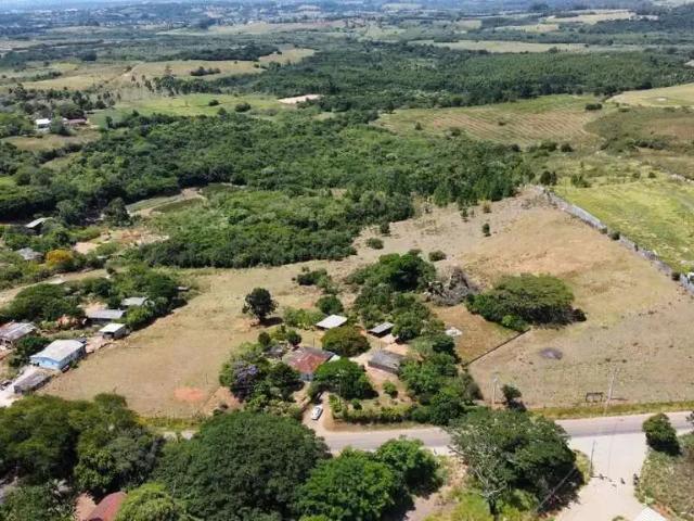 Terreno / Lote para Venda em Viamão/RS Cocão