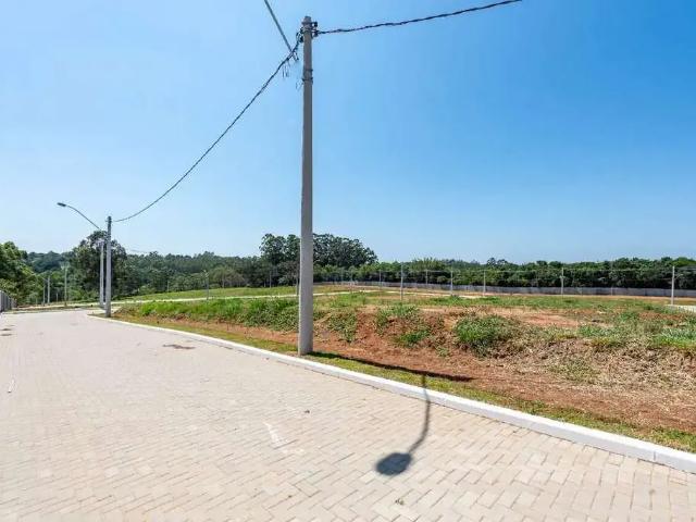 Terreno / Lote para Venda em Viamão/RS Cocão