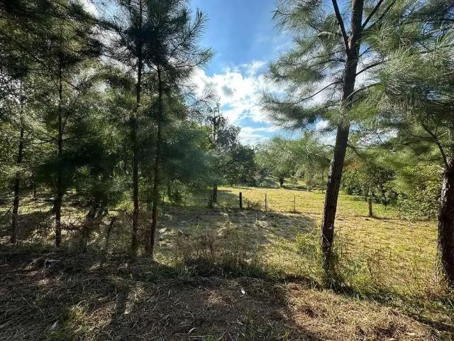 Terreno / Lote para Venda em Viamão/RS Fiuza