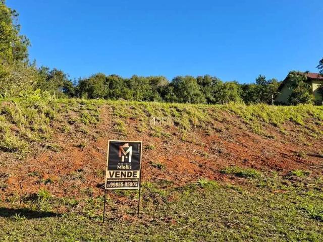 Terreno / Lote para Venda em Viamão/RS Fiuza