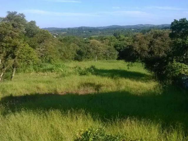 Terreno / Lote para Venda em Viamão/RS Fiuza