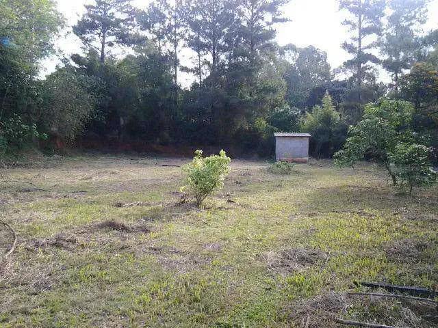 Terreno / Lote para Venda em Viamão/RS Jardim Krahe