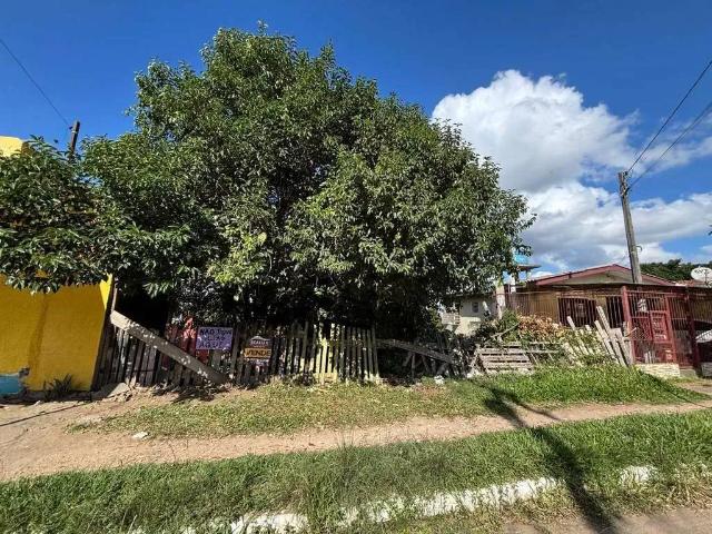 Terreno / Lote para Venda em Viamão/RS Jardim Krahe