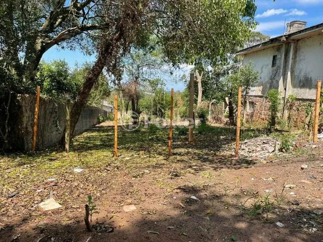 Terreno / Lote para Venda em Viamão/RS Jardim Krahe