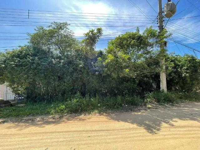 Terreno / Lote para Venda em Viamão/RS Jardim Krahe