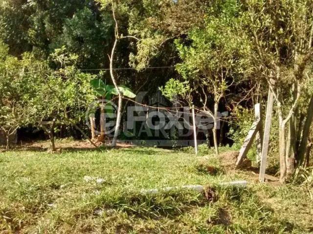 Terreno / Lote para Venda em Viamão/RS Jardim Krahe