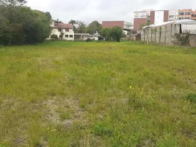 Terreno / Lote para Venda em Viamão/RS Martinica