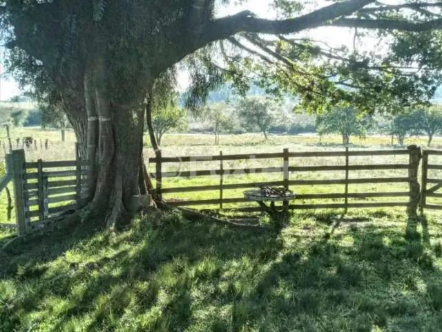 Terreno / Lote para Venda em Viamão/RS Morro Grande