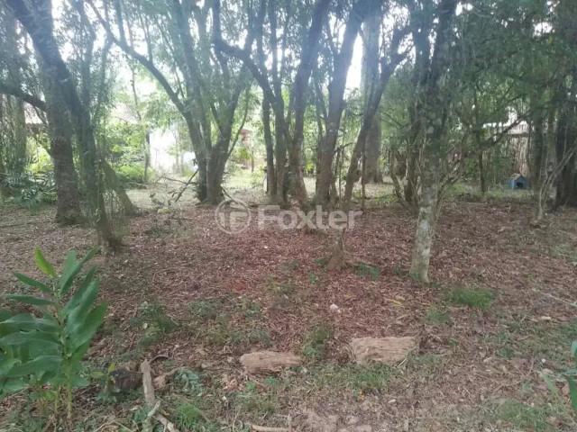 Terreno / Lote para Venda em Viamão/RS Morro Grande