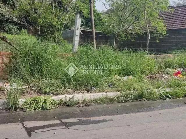 Terreno / Lote para Venda em Viamão/RS Parque Índio Jari