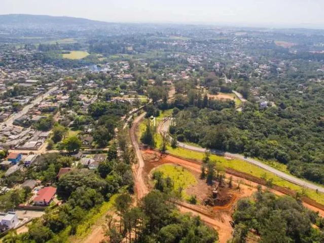 Terreno / Lote para Venda em Viamão/RS São Lucas