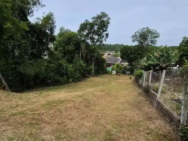 Terreno / Lote para Venda em Viamão/RS São Lucas