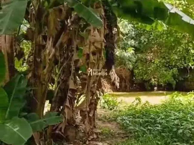 Terreno / Lote para Venda em Viamão/RS São Lucas