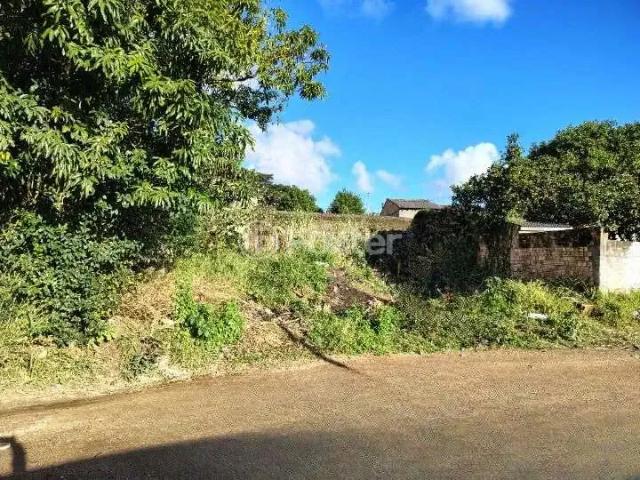 Terreno / Lote para Venda em Viamão/RS São Lucas