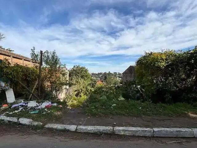 Terreno / Lote para Venda em Viamão/RS São Lucas