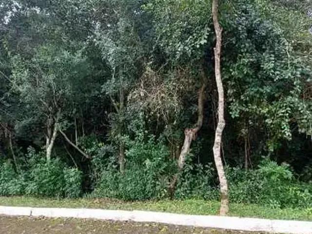 Terreno / Lote para Venda em Viamão/RS São Lucas