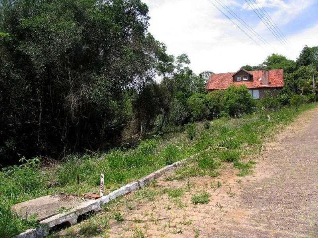 Terreno / Lote para Venda em Viamão/RS São Lucas