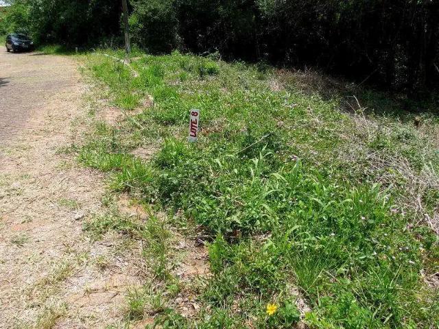 Terreno / Lote para Venda em Viamão/RS São Lucas
