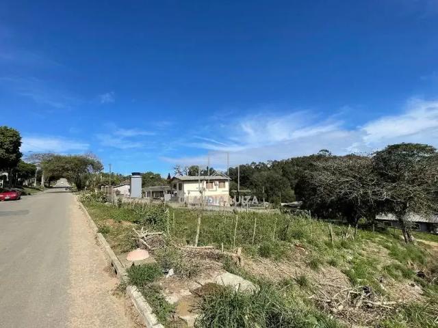 Terreno / Lote para Venda em Viamão/RS São Lucas