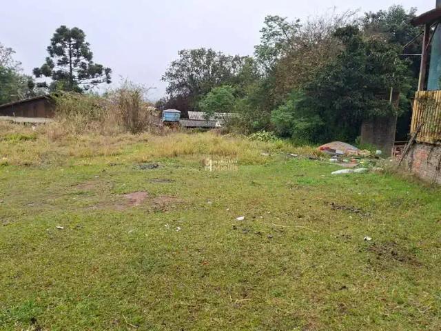 Terreno / Lote para Venda em Viamão/RS São Tomé