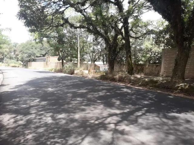 Terreno / Lote para Venda em Viamão/RS São Tomé