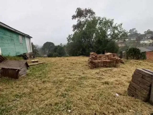 Terreno / Lote para Venda em Viamão/RS São Tomé