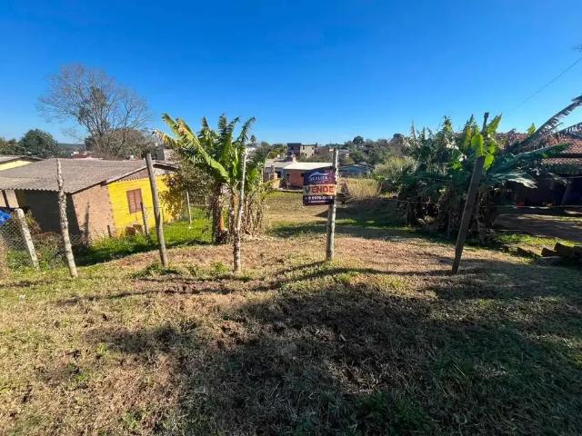 Terreno / Lote para Venda em Viamão/RS São Tomé